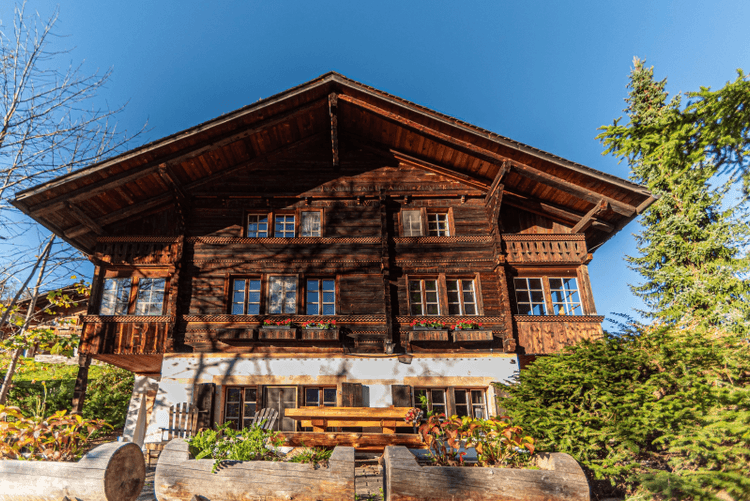Swiss Alpine Homes